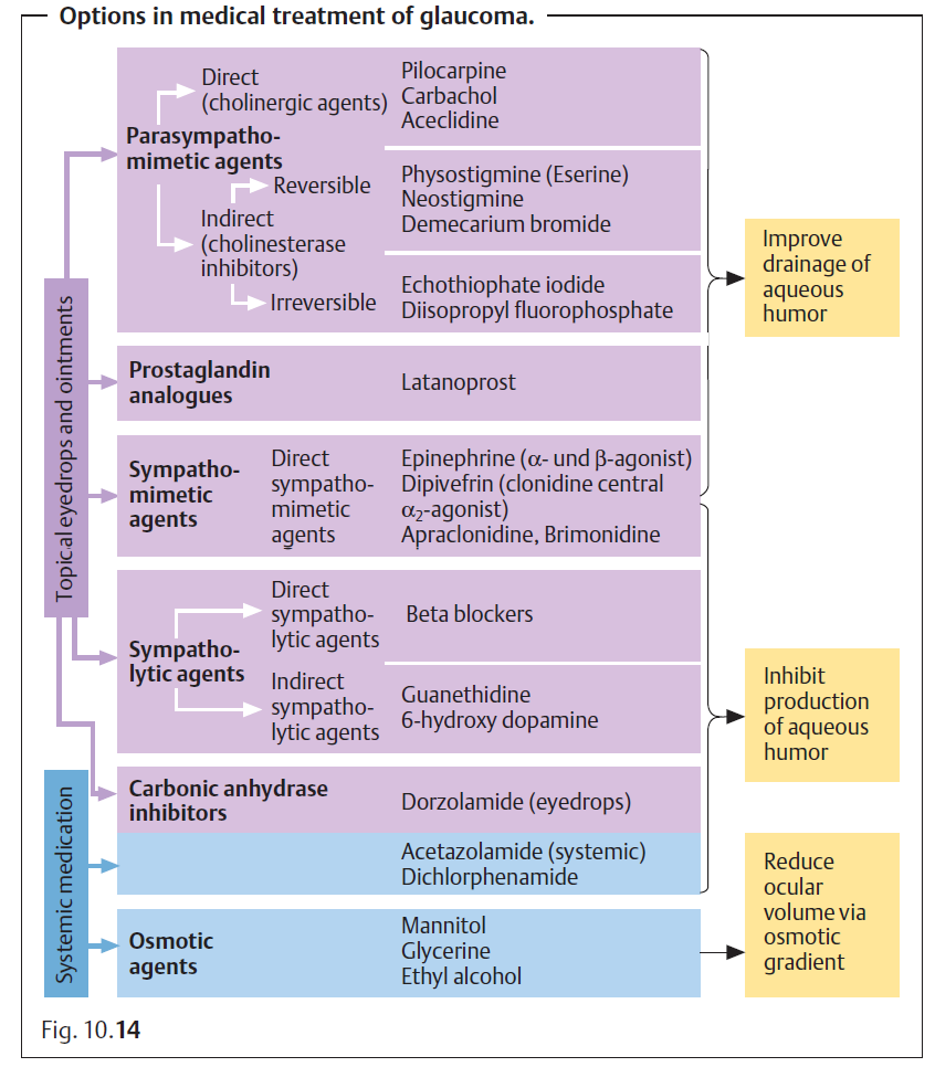 Glaucoma – AL-Salem Eye Clinic