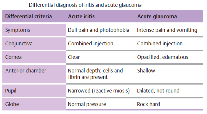 Uveal Tract (Vascular pigmented layer) – AL-Salem Eye Clinic